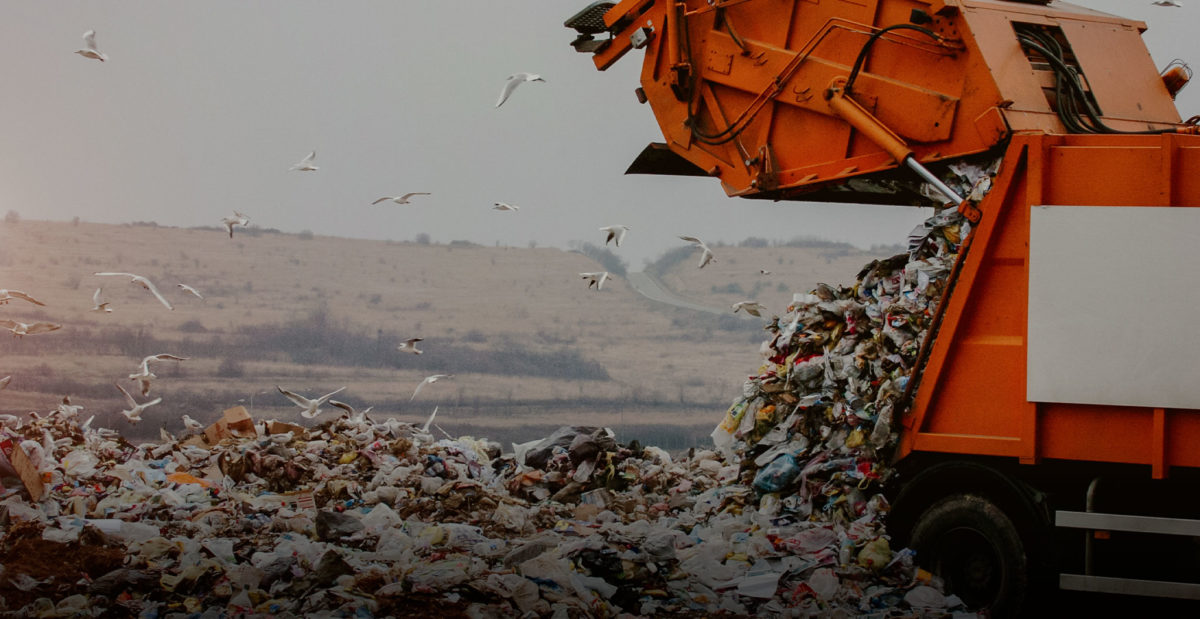 - Plastic Change : Plastic Change
