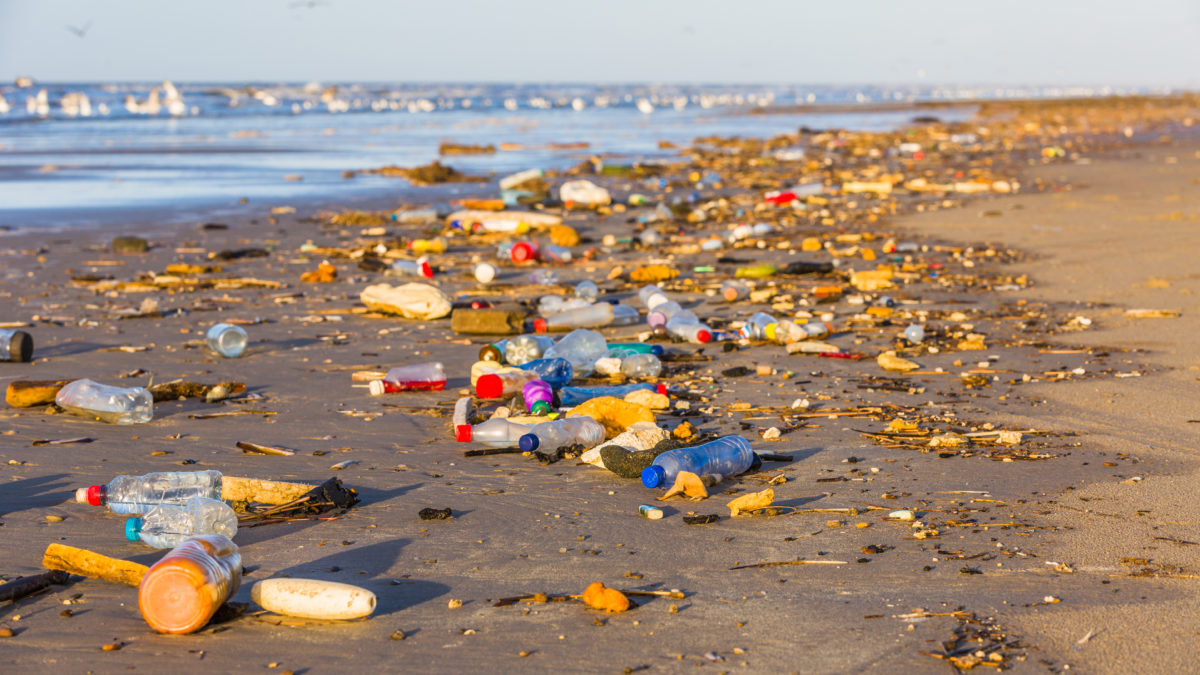 Plastic Change sætter fokus på grønne påstande om plastik - Plastic ...